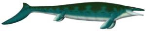 TIMELESS DINOSAURS | Mosasaurus